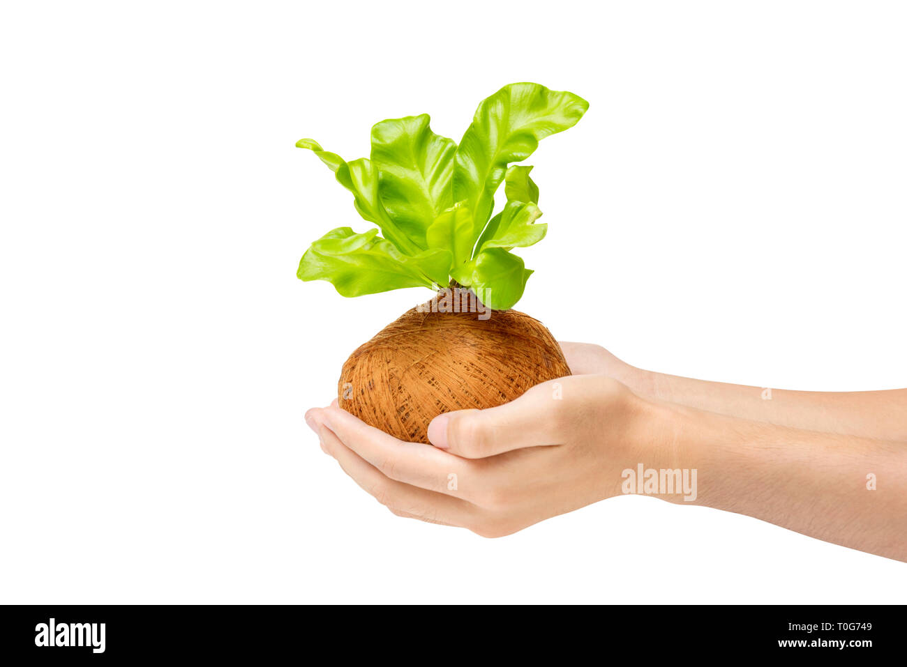 Human in ecosystem Cut Out Stock Images & Pictures - Alamy