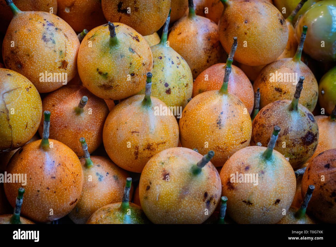 Pulp grains hi-res stock photography and images - Alamy