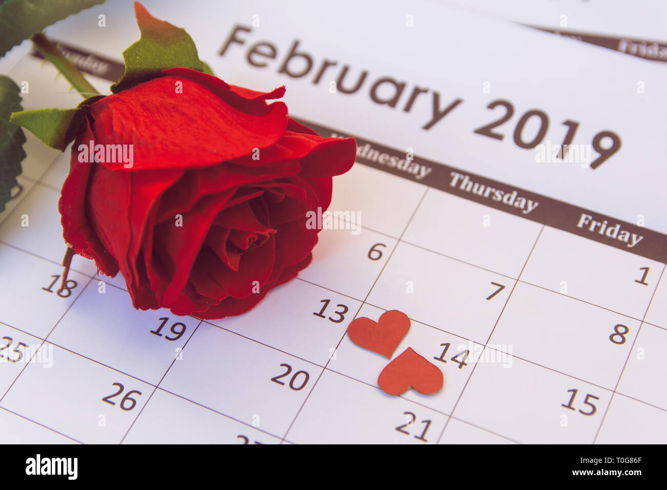 Valentines day. Red rose and red hearts on Calendar page February 14 ...