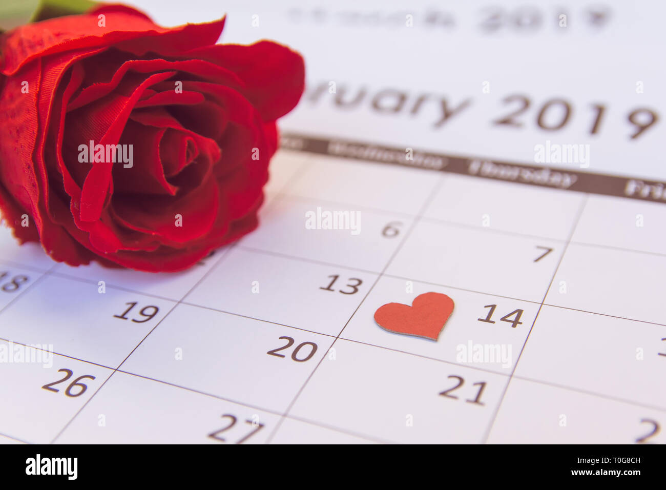 Valentines day. Red rose and red hearts on Calendar page February 14 ...