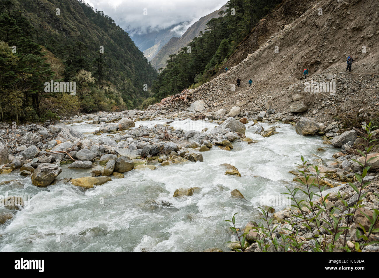 Trail along a river en route to Rodophu, Gasa District, Snowman Trek ...