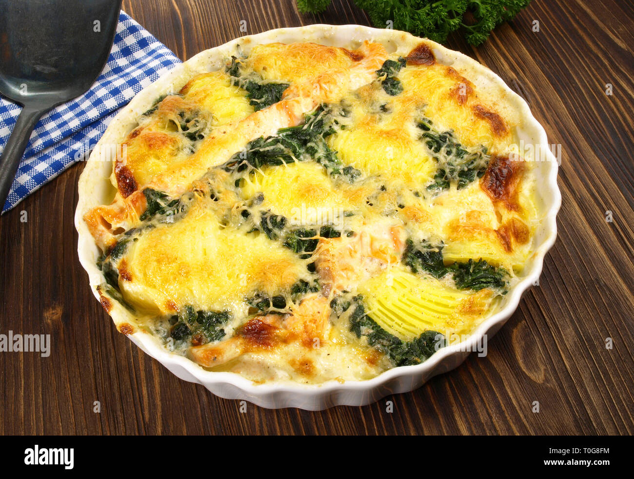 Salmon - Fish Gratin with Spinach Stock Photo - Alamy