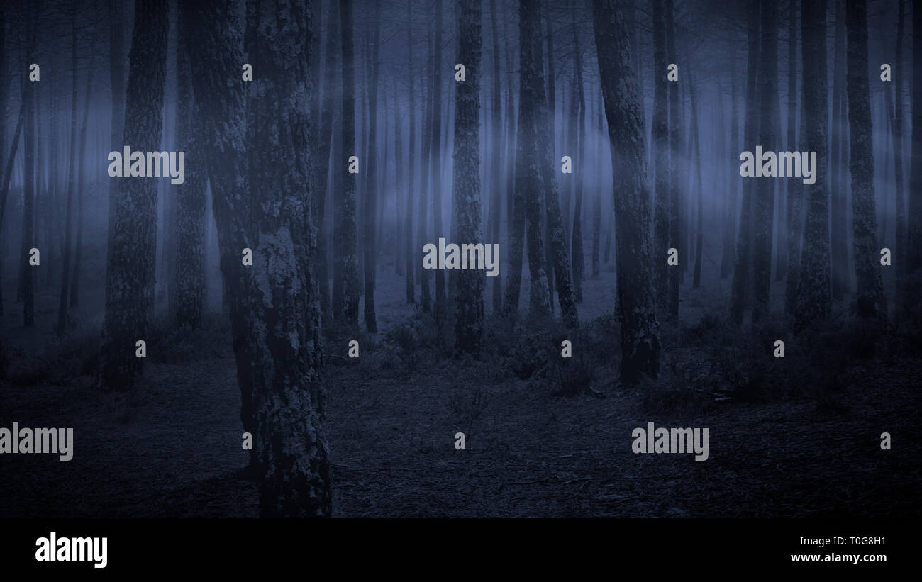 Dark forest at night background Stock Photo - Alamy