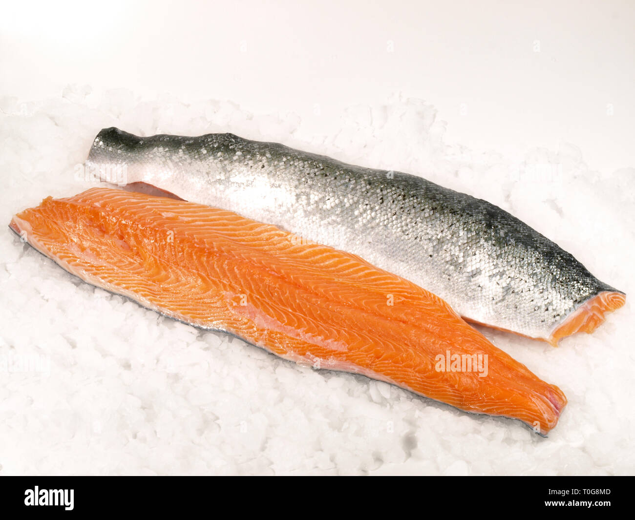 Salmon Fish Fish on Ice Stock Photo - Alamy