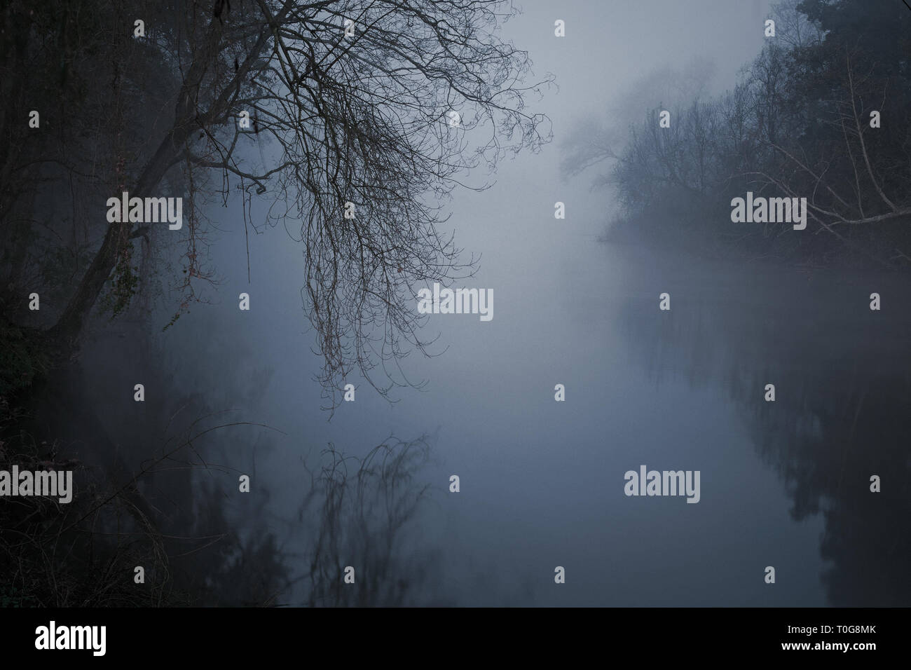 Mysterious and frightening river in a foggy night Stock Photo - Alamy