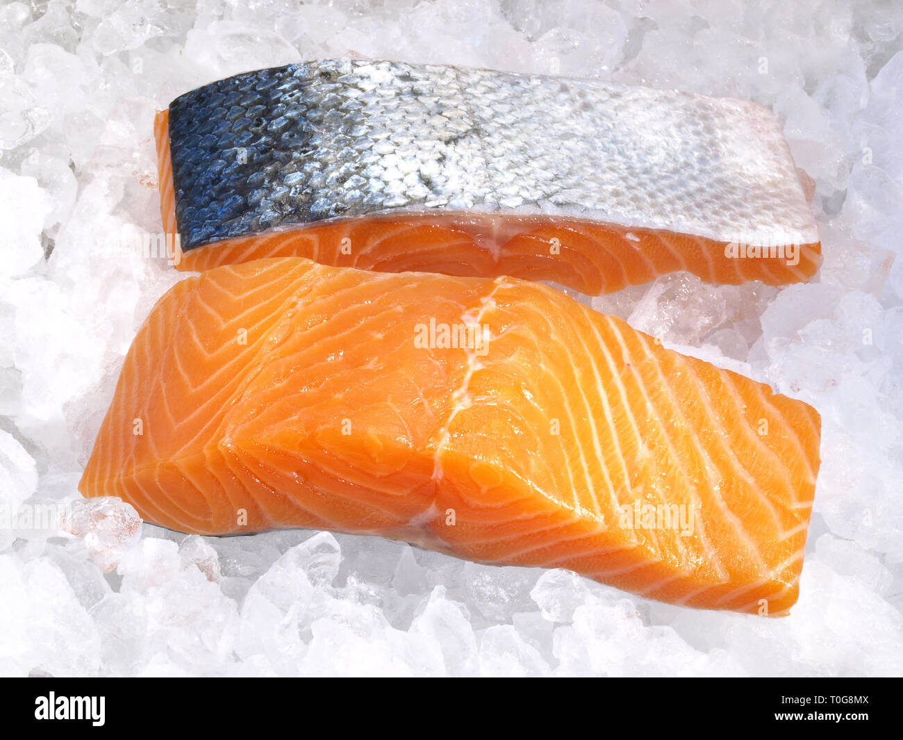 Salmon Fish Fish on Ice Stock Photo - Alamy