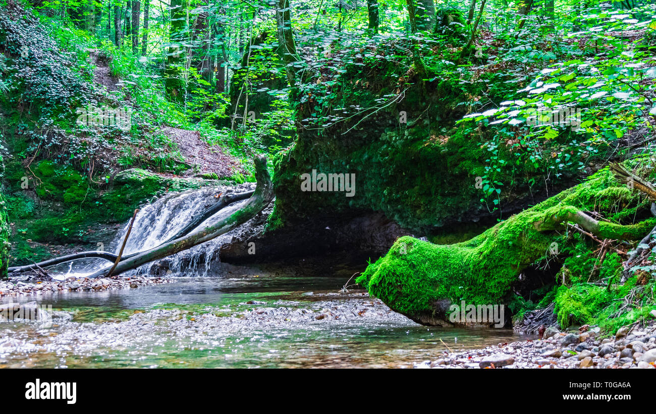 Scheidegg Waterfall High Resolution Stock Photography and Images - Alamy