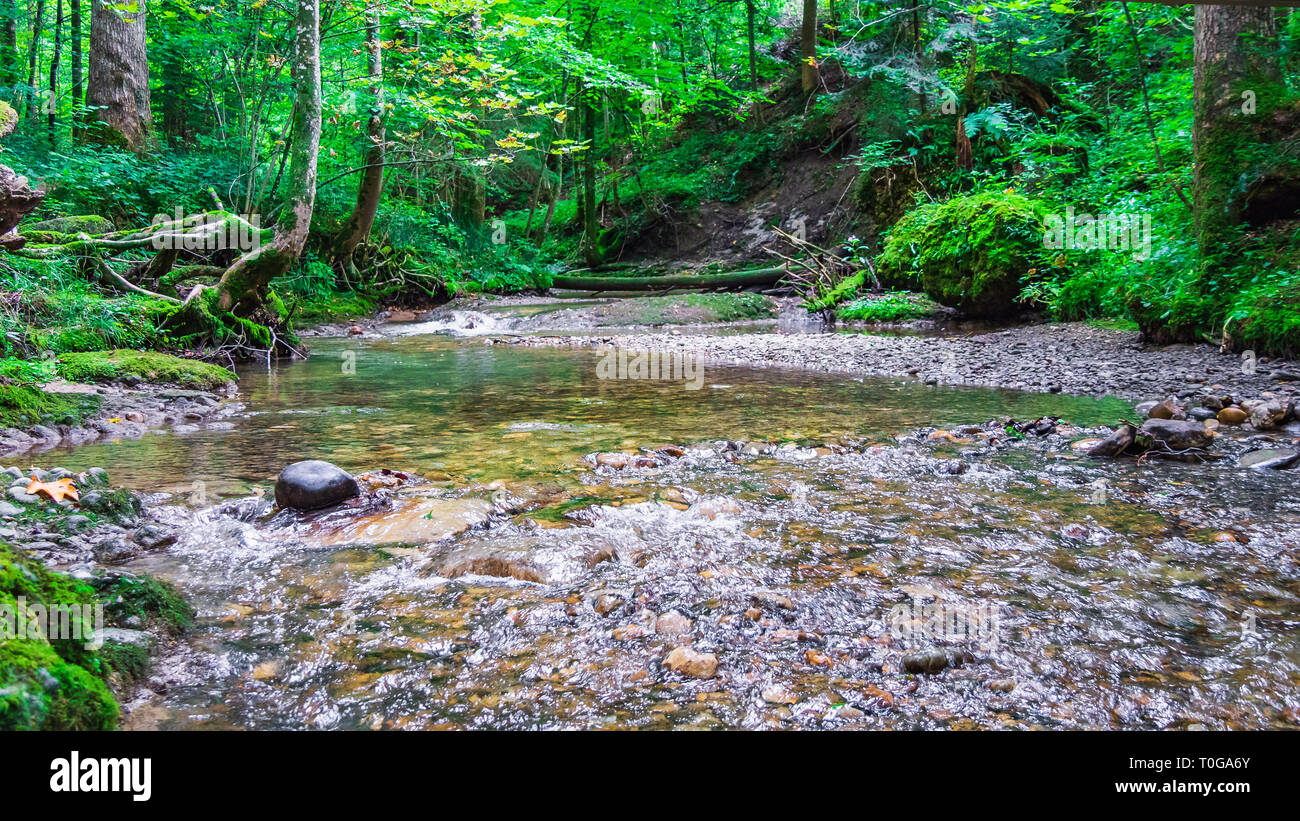 Scheidegg waterfall hi-res stock photography and images - Alamy