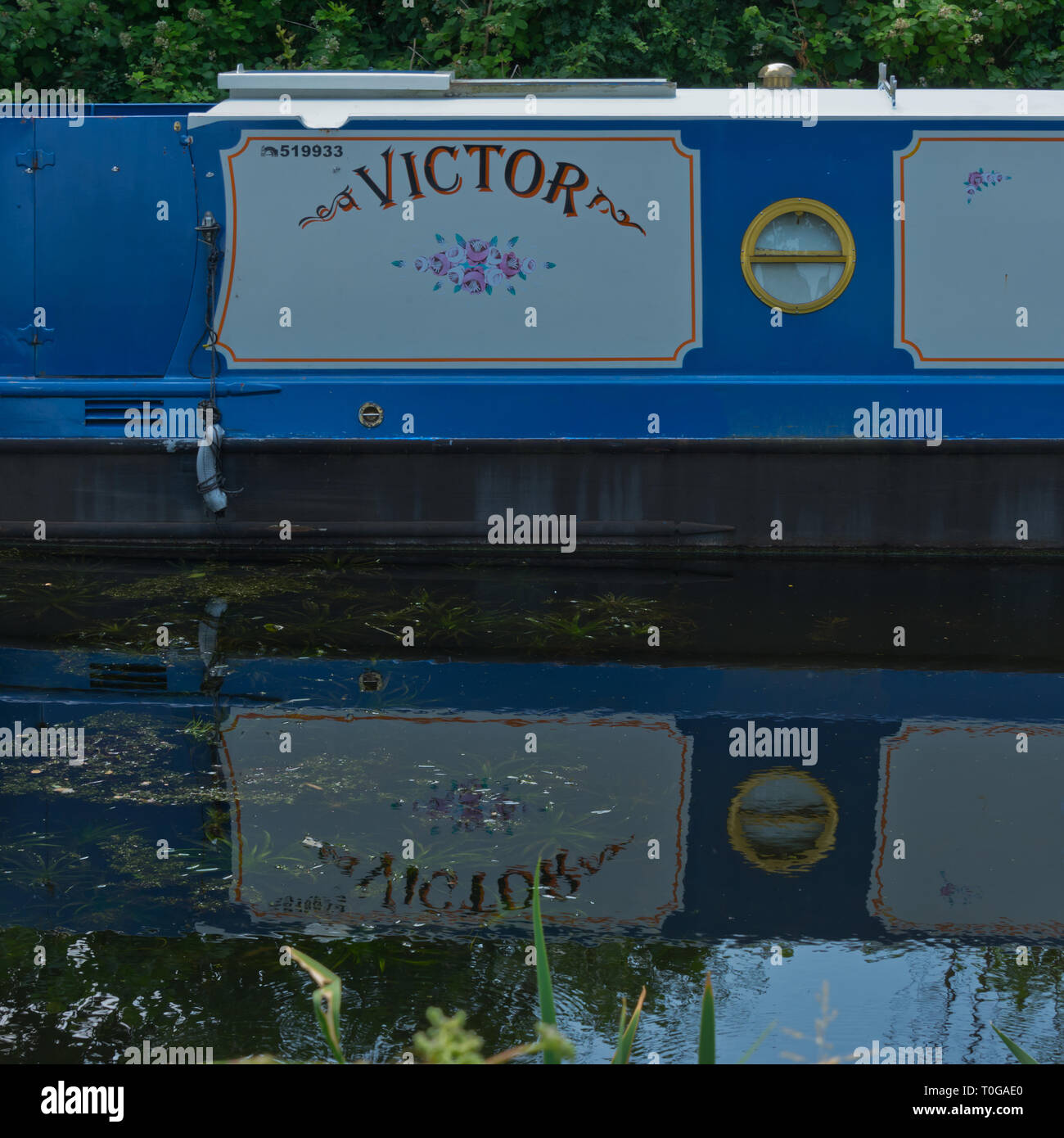 Canal boat moored on the Grand Western Canal at East Manley in Devon ...