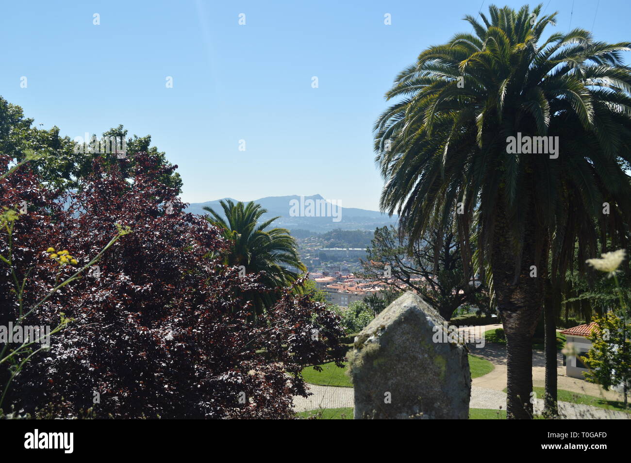 Views Of The City Of Vigo From El Monte Del Castro. Nature ...