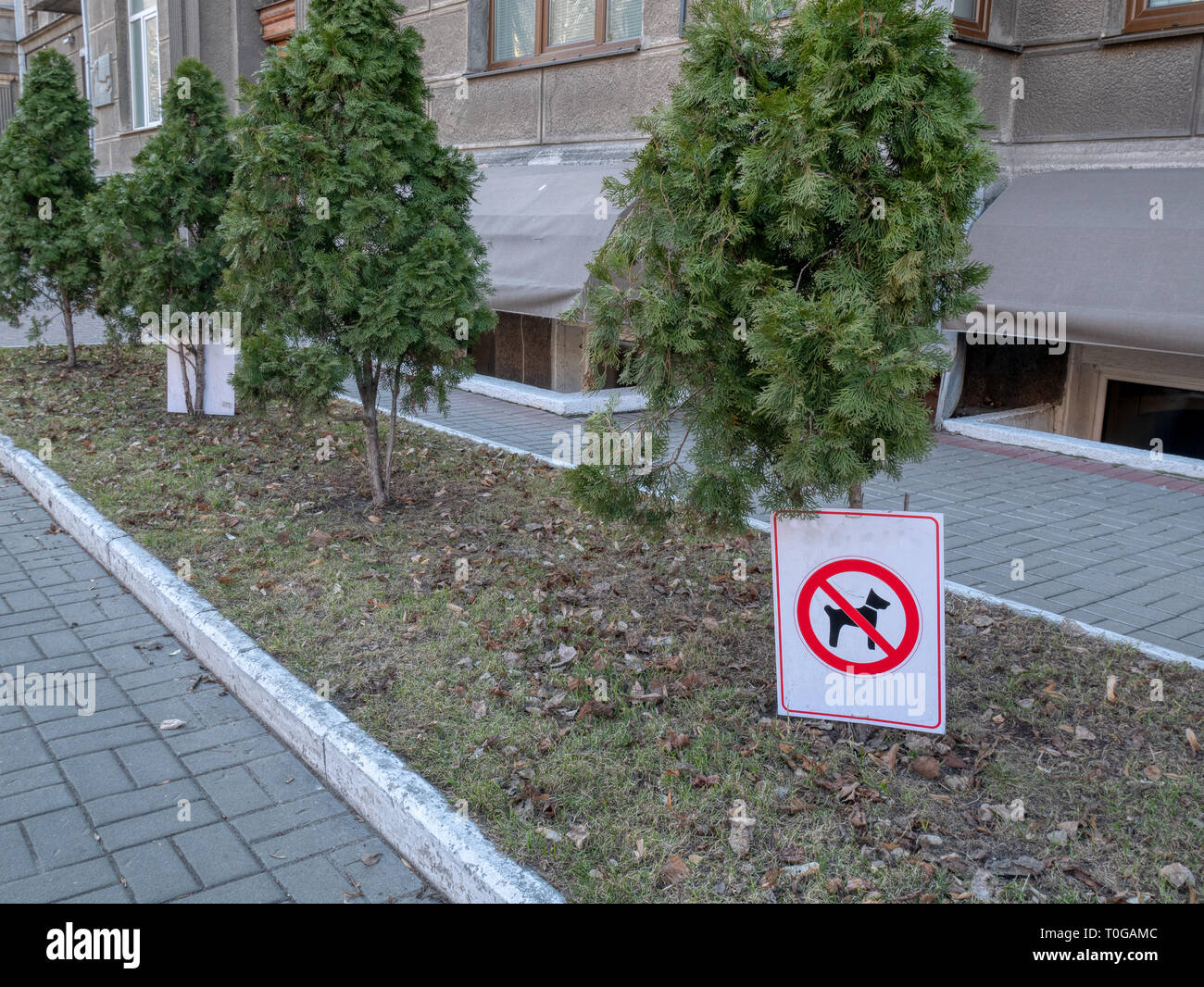 dog walking prohibited forbidden sign on pavement sidewalk with ...