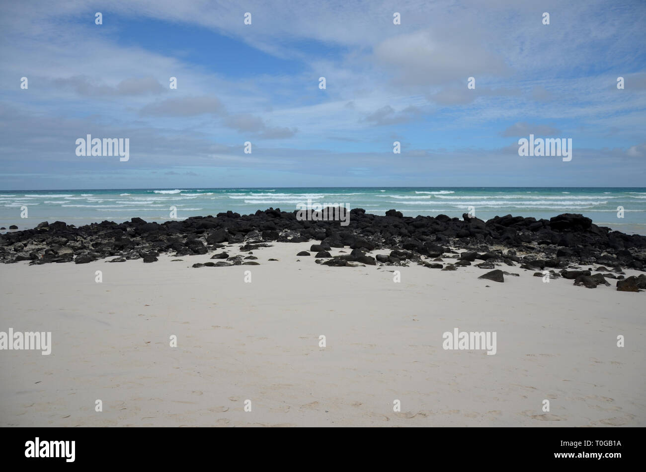Galapagos Beach Tortuga Bay Isla Santa Cruz Stock Photo - Alamy
