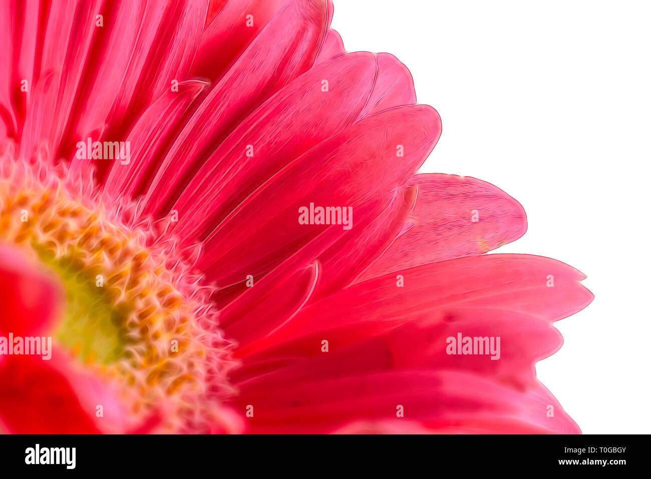 Artistic gerbera flower background Stock Photo - Alamy