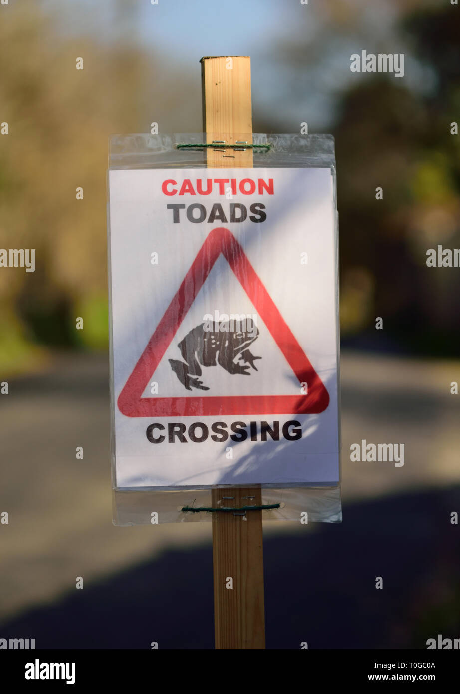 Toads road sign hi-res stock photography and images - Alamy