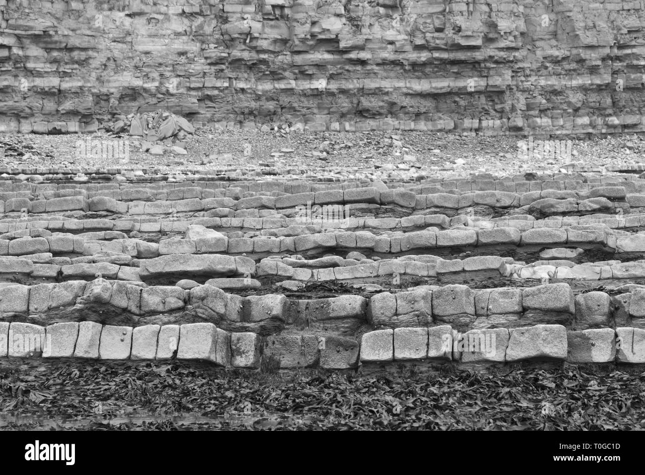 Coastal rock strata formations Black and White Stock Photos & Images ...