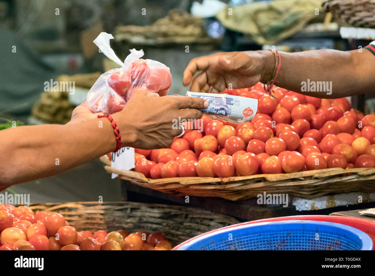 Buying tomatoes hi-res stock photography and images - Alamy