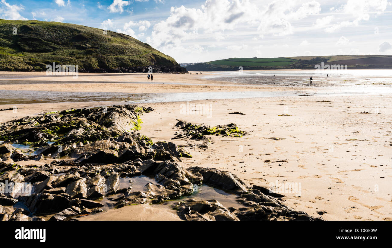Daymer Bay beach in North Cornwall at low tide, in bright sunlight and ...