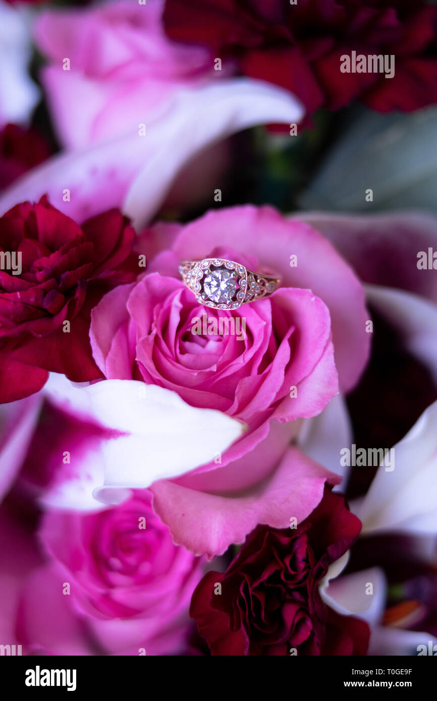 Rings and Roses Stock Photo - Alamy