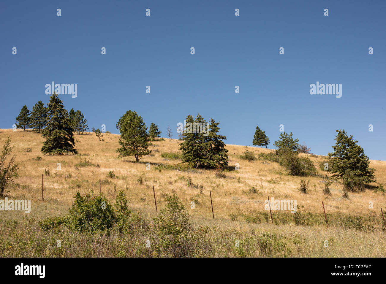 The National Bison Range in Charlo, Montana is one of the most ...