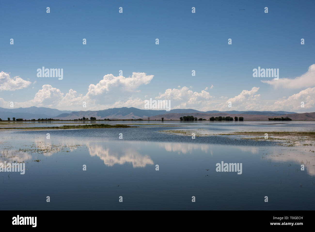 The National Bison Range in Charlo, Montana is one of the most ...
