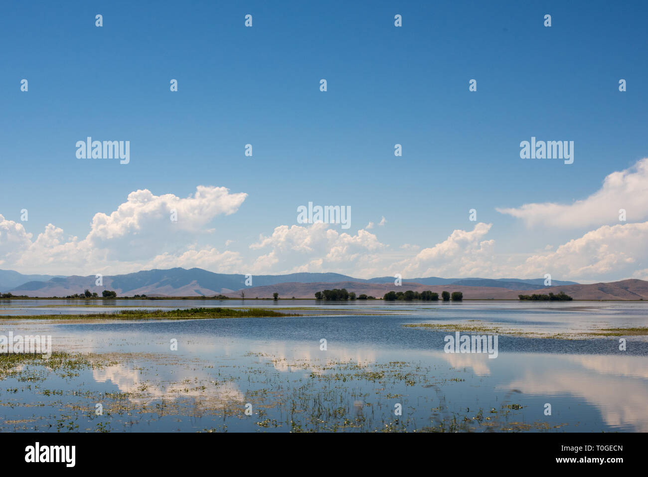 The National Bison Range in Charlo, Montana is one of the most ...
