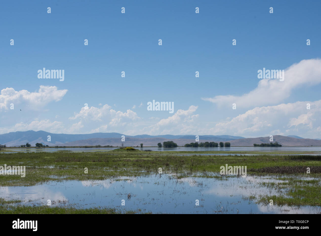 The National Bison Range in Charlo, Montana is one of the most ...