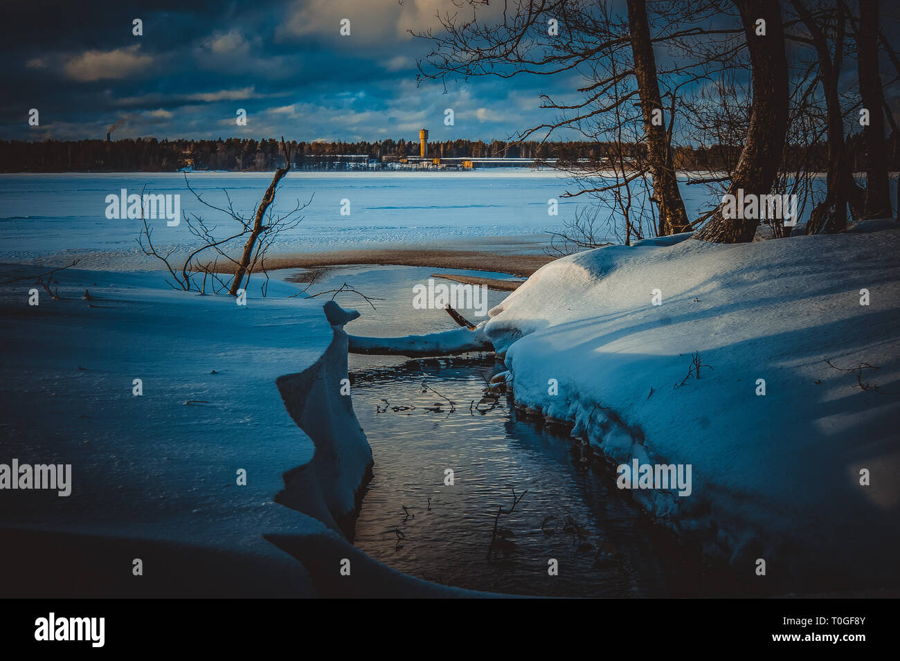 Forest breaks a path through the snow and ice. The river flows into a ...