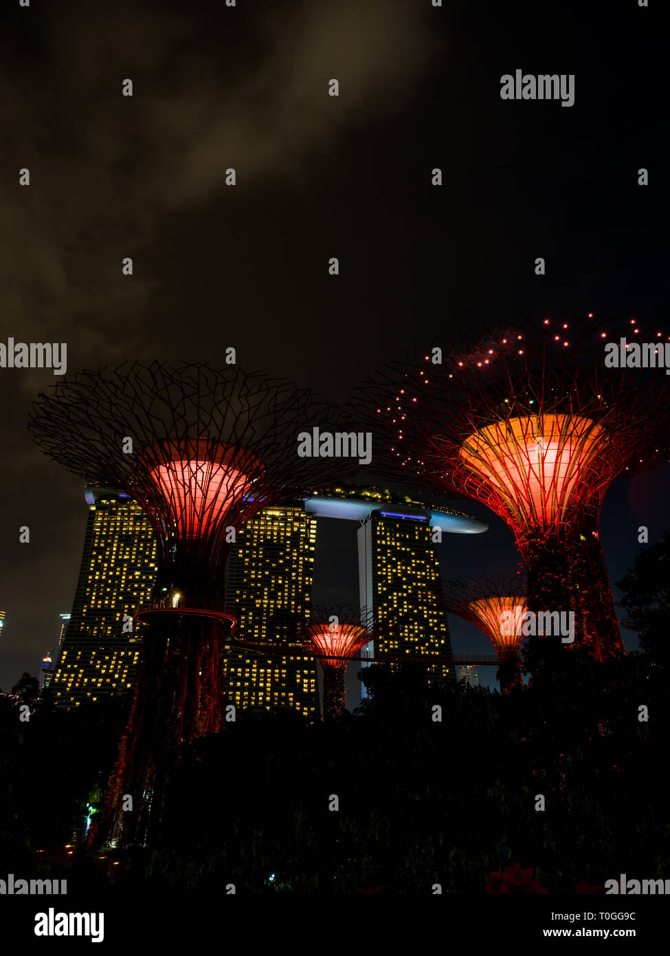 SINGAPORE CITY, SINGAPORE - FEBRUARY 03, 2019: Gardens by the bay in ...