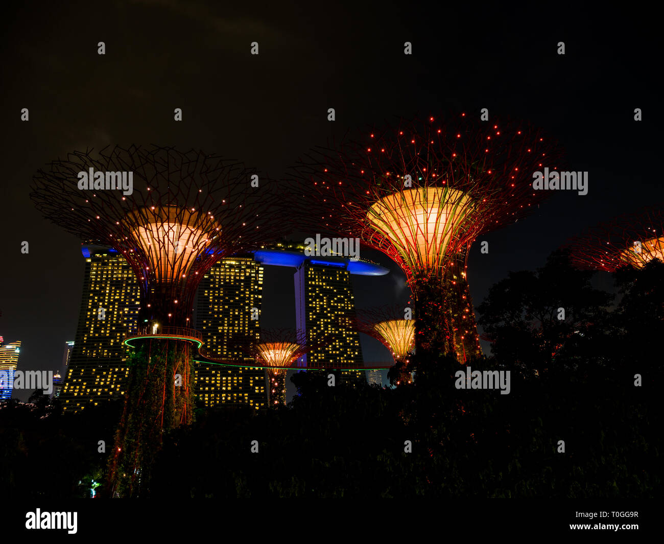 SINGAPORE CITY, SINGAPORE - FEBRUARY 03, 2019: Gardens by the bay in ...