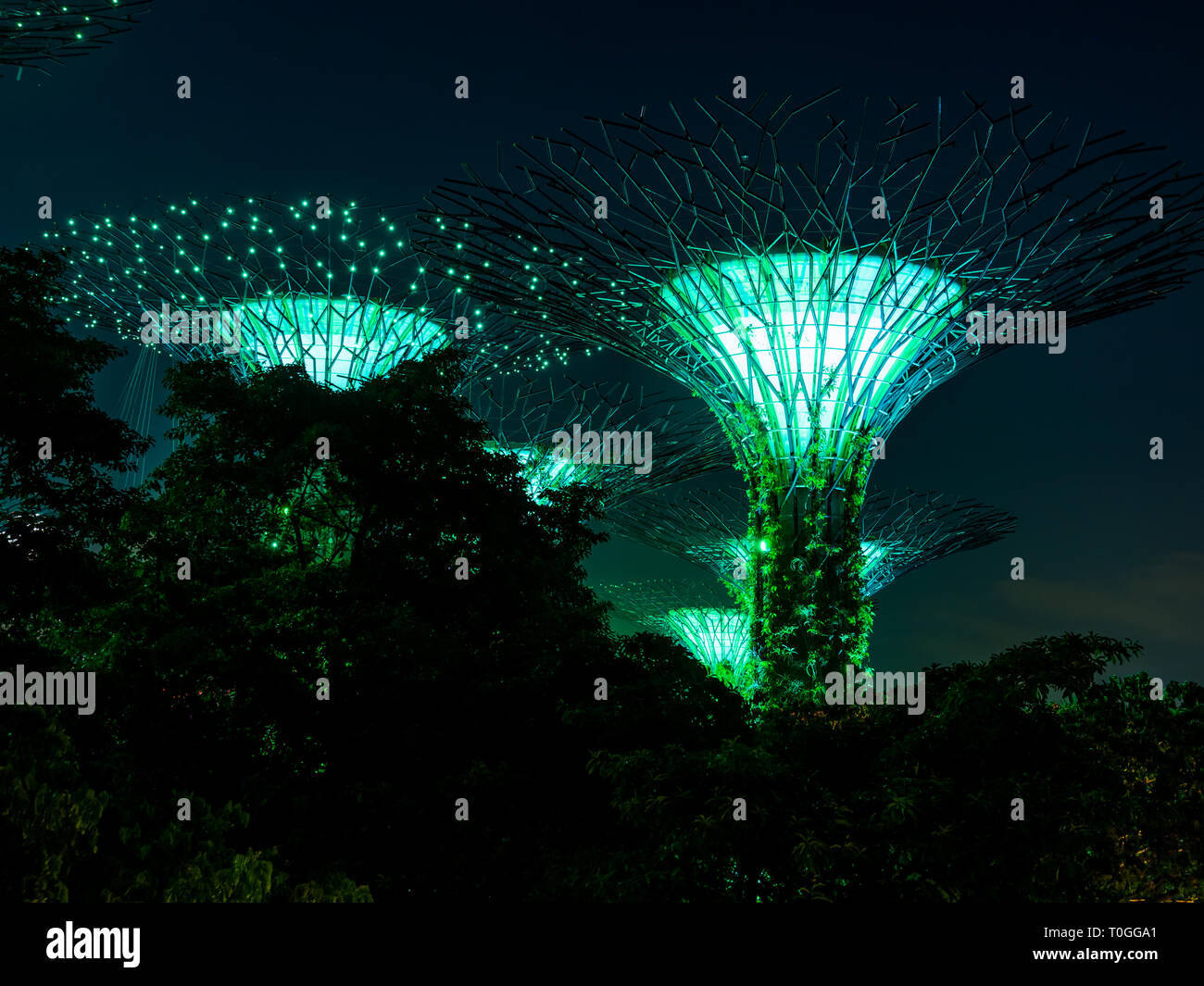 SINGAPORE CITY, SINGAPORE - FEBRUARY 03, 2019: Gardens by the bay in ...