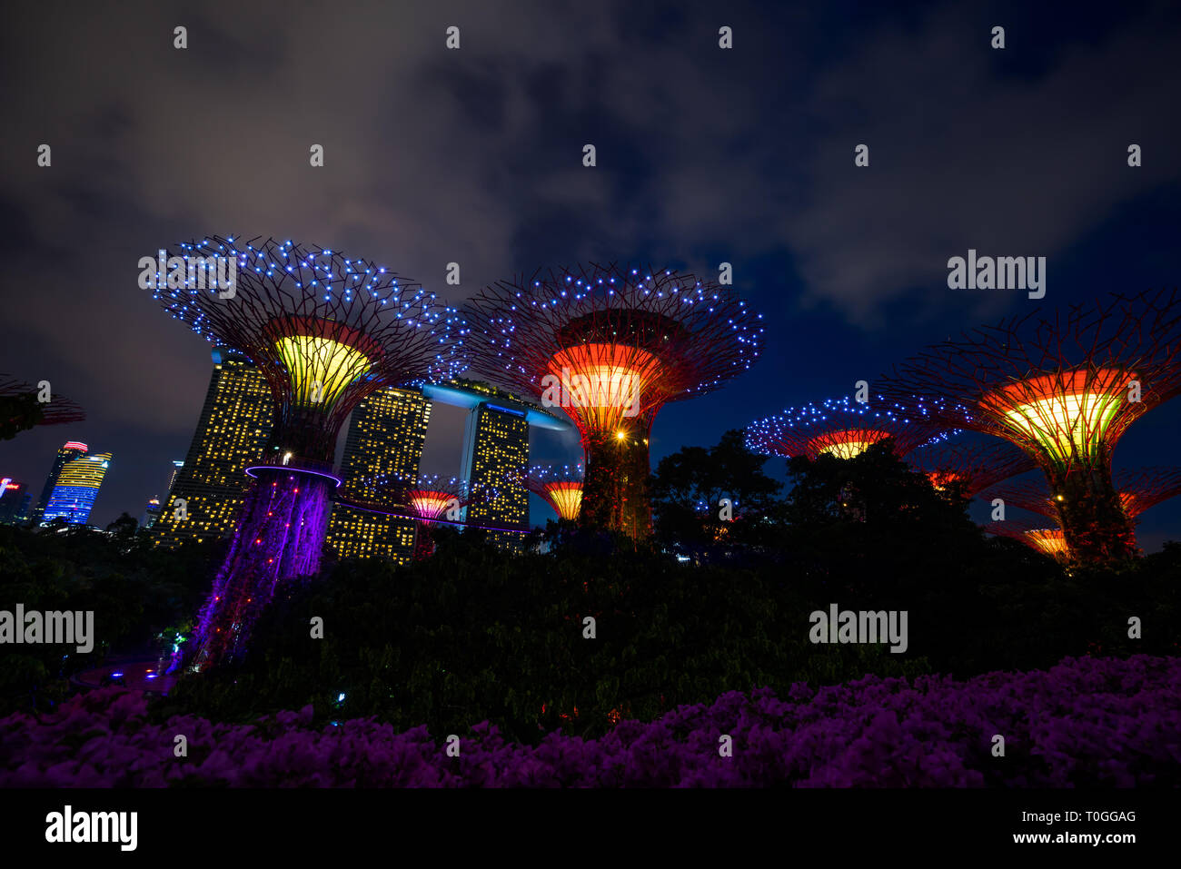 SINGAPORE CITY, SINGAPORE - FEBRUARY 03, 2019: Gardens by the bay in ...