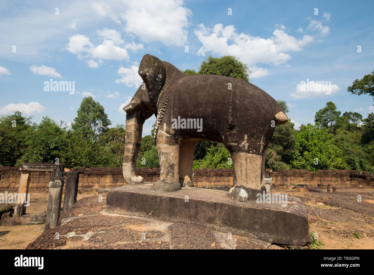 Elephant guard hi-res stock photography and images - Alamy