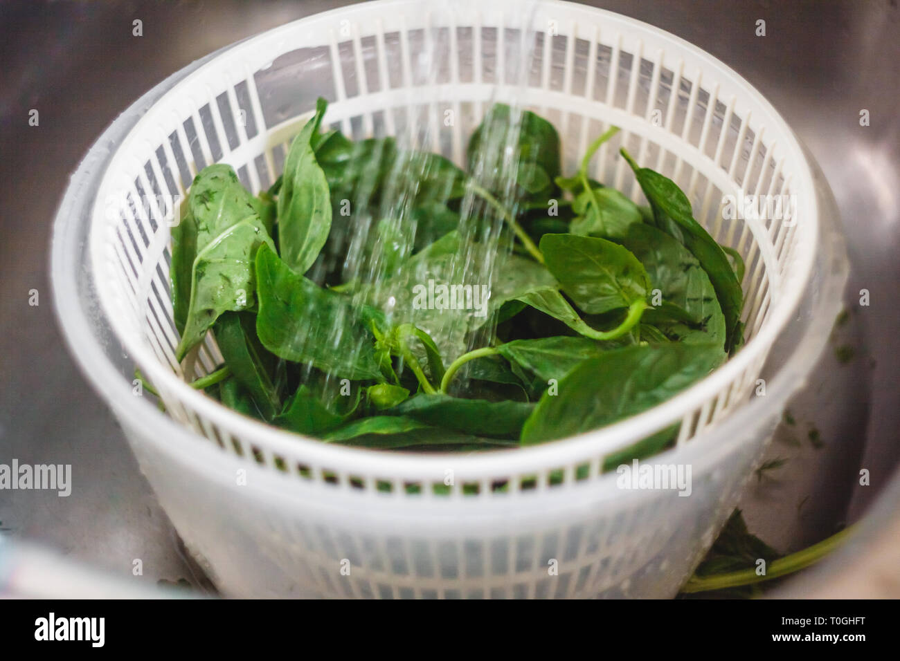Washing basil hi-res stock photography and images - Alamy