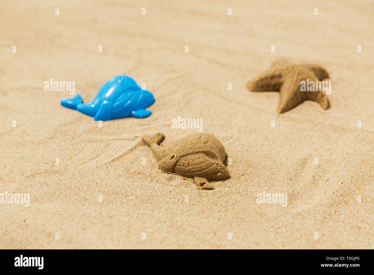 sand shape made by whale mold on summer beach Stock Photo - Alamy