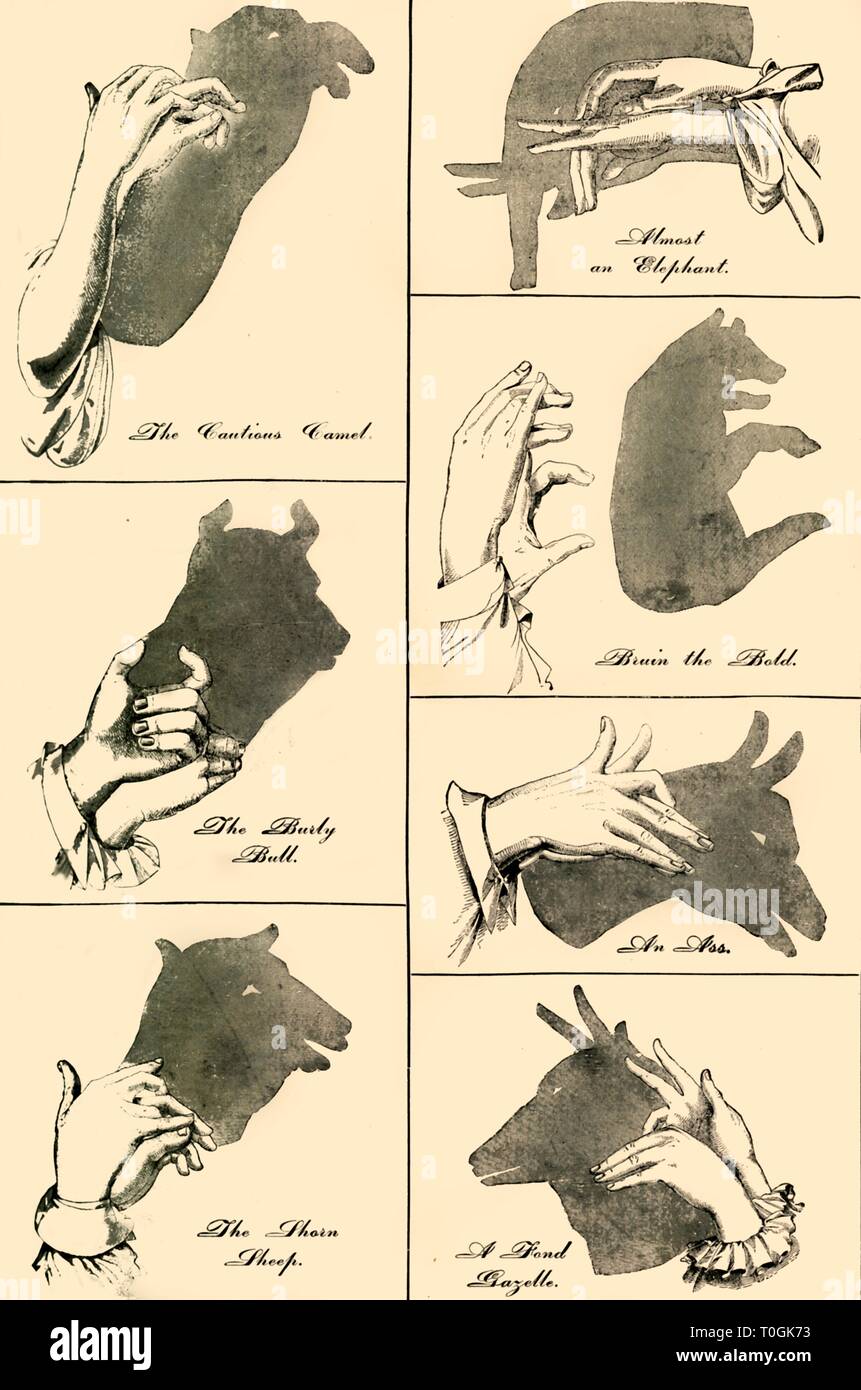 'Shadow Pictures and Silhouettes', 1883. Creator: Unknown Stock Photo ...