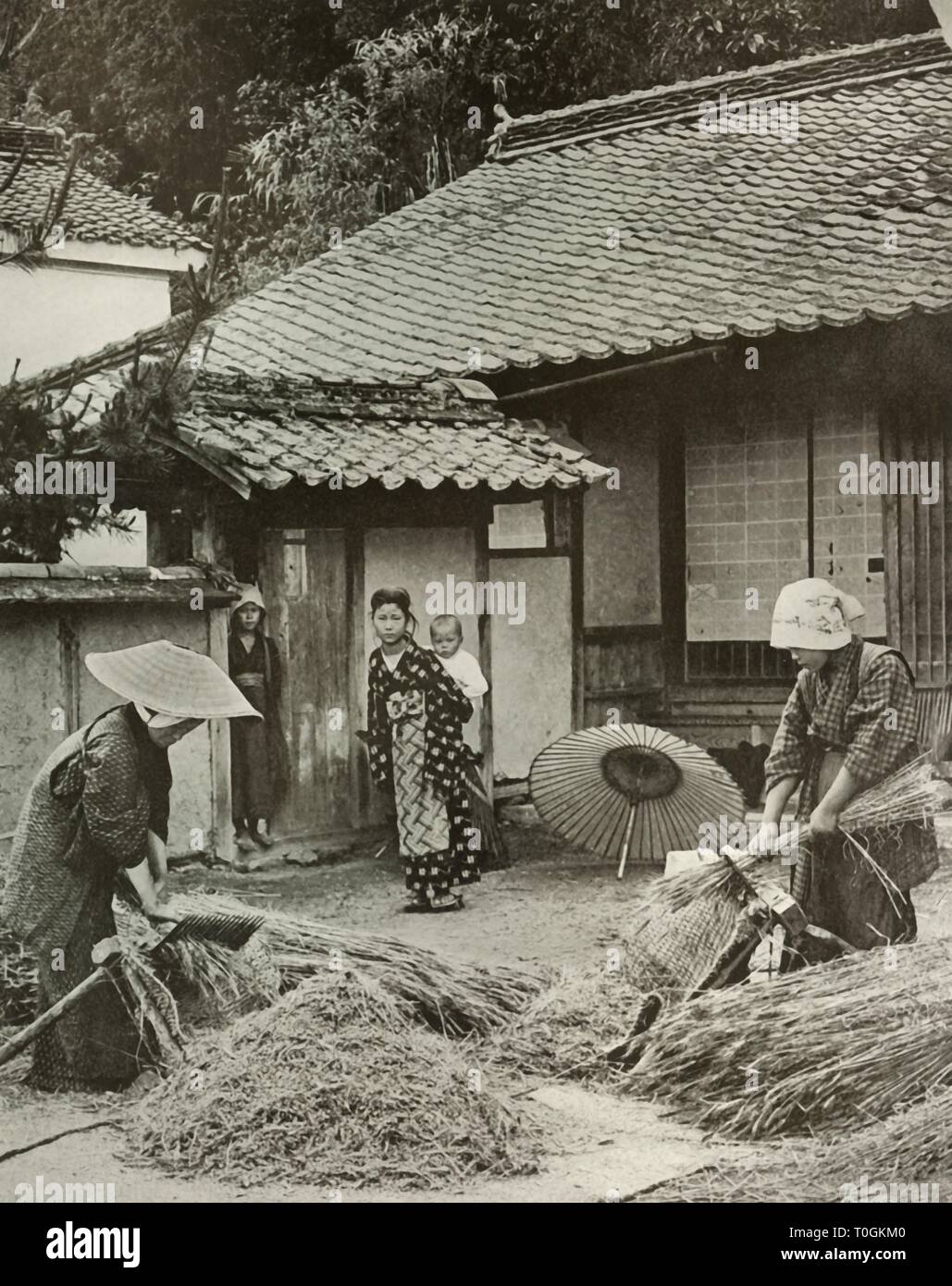'Peasant Women Heading Barley', 1910. Creator: Herbert Ponting Stock ...