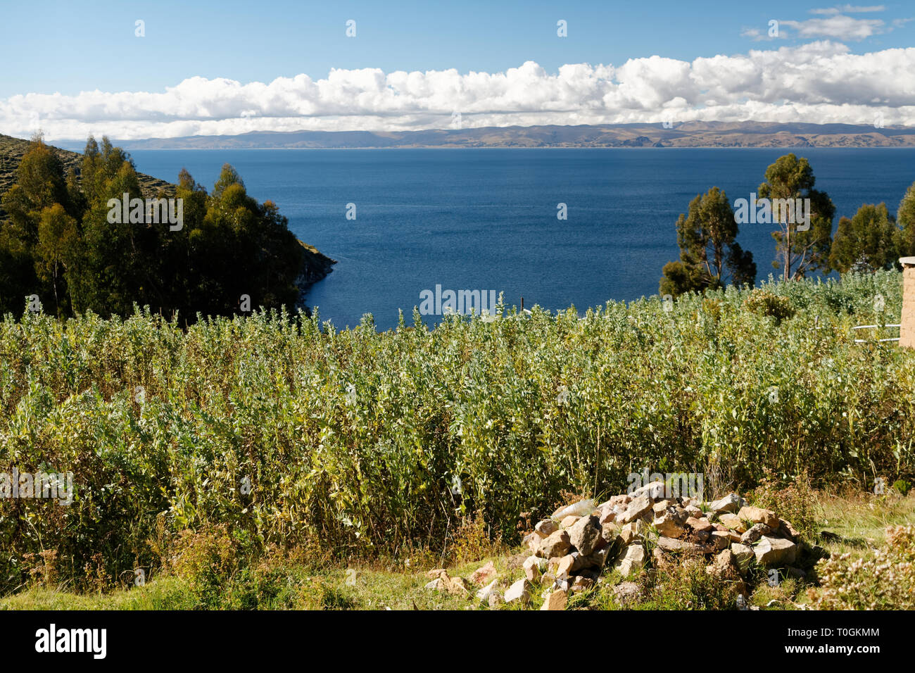 Isla del Sol (Island of the Sun on Lake Titicaca, Bolivia Stock Photo ...