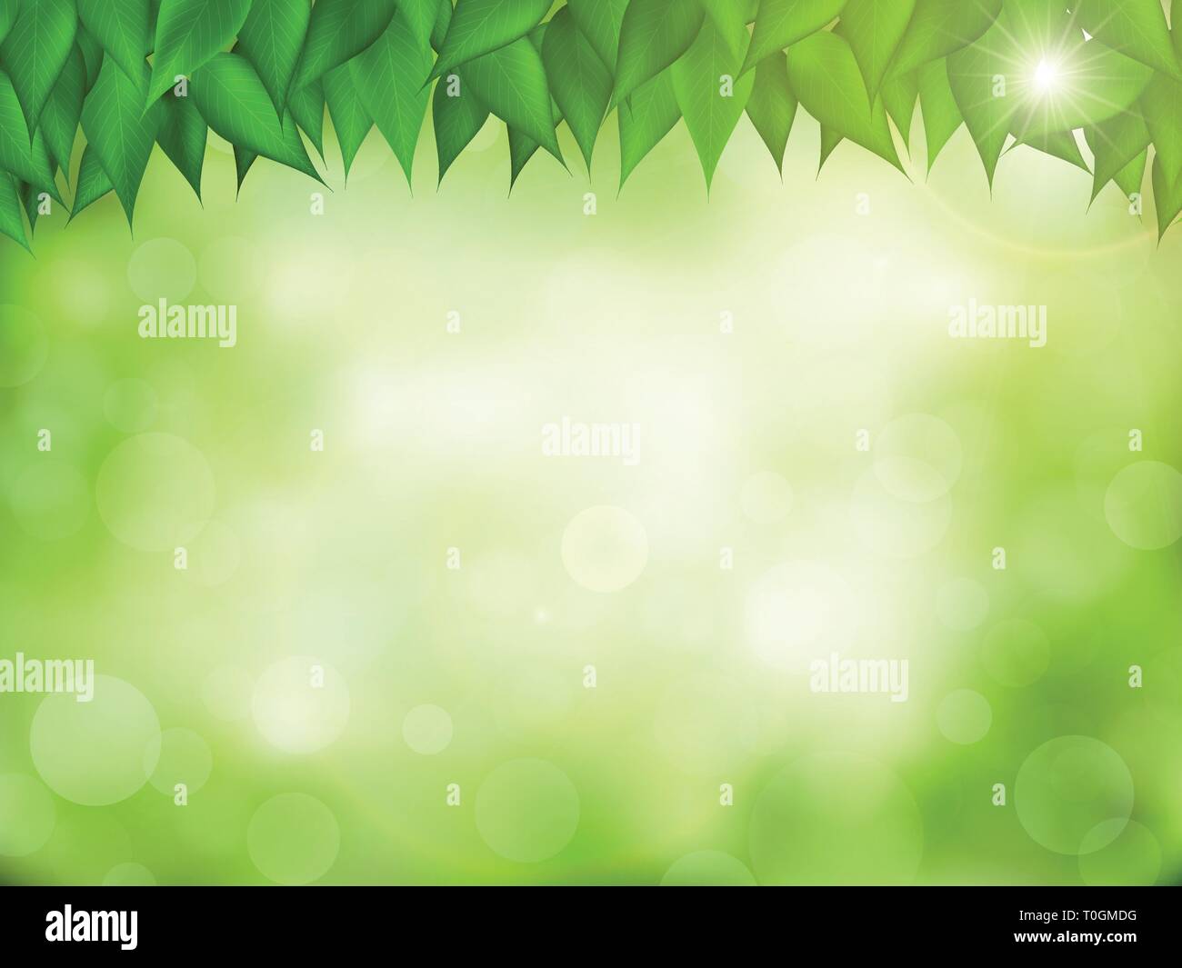 Nature green realistic background Stock Vector Image & Art - Alamy