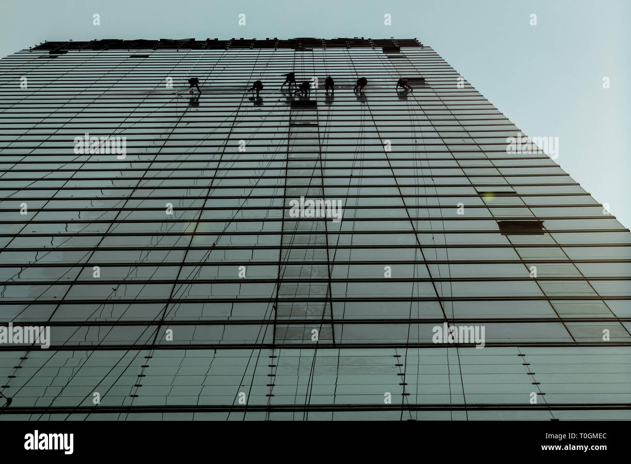 Skyscraper window cleaner hi-res stock photography and images - Alamy