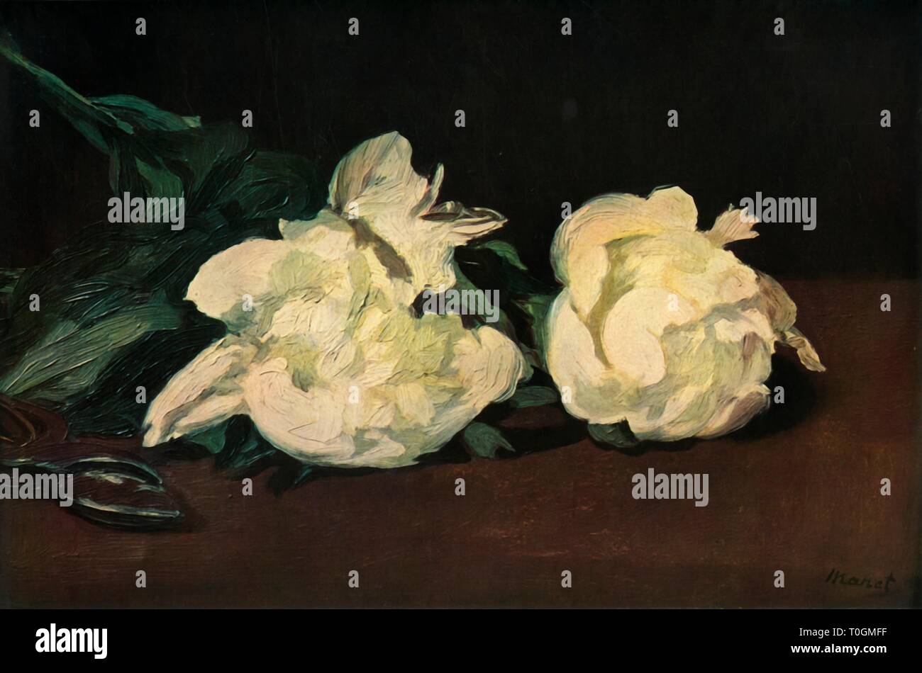 'White Peonies', 1864, (1937). Creator: Edouard Manet Stock Photo - Alamy