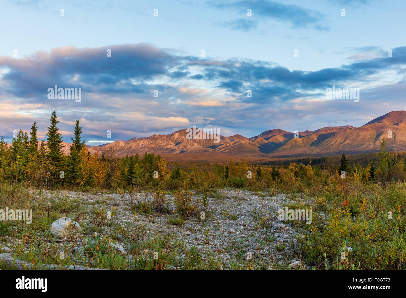 Scenic Autumn Landscape in Denali National Park Alaska Stock Photo - Alamy