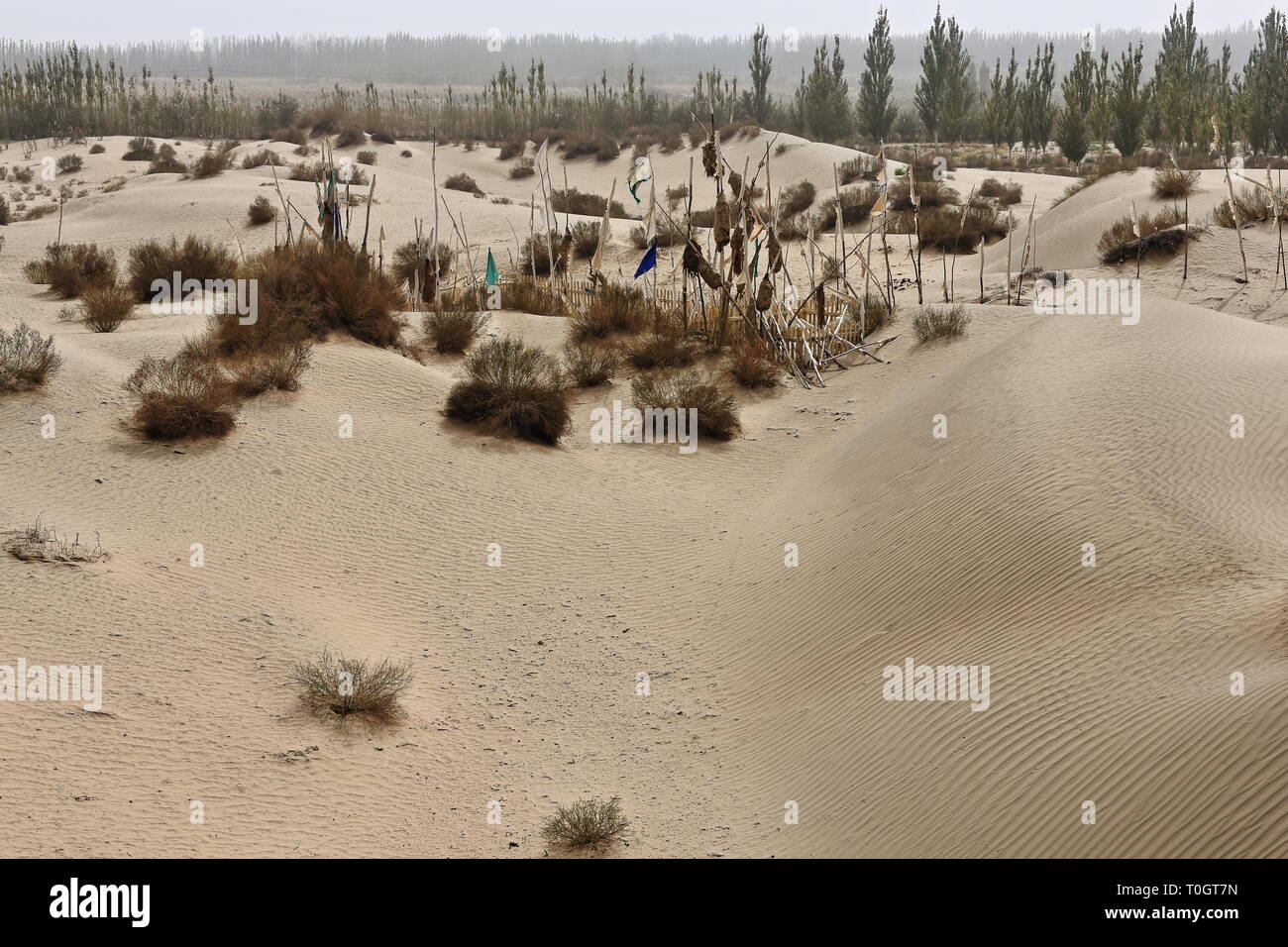 Burial mounds desert hi-res stock photography and images - Alamy