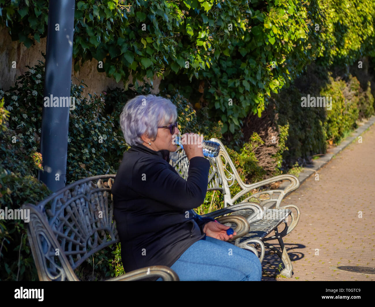 A senior woman with white hair sitting on a park bench drinking water ...
