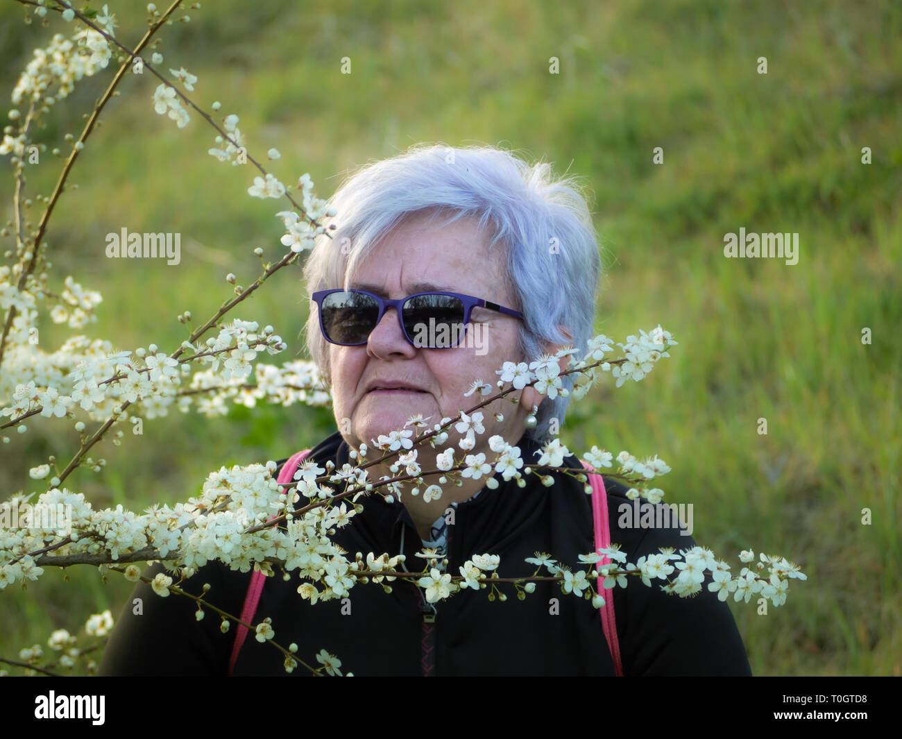 A senior woman with white hair posing next to a tree blooming in spring ...