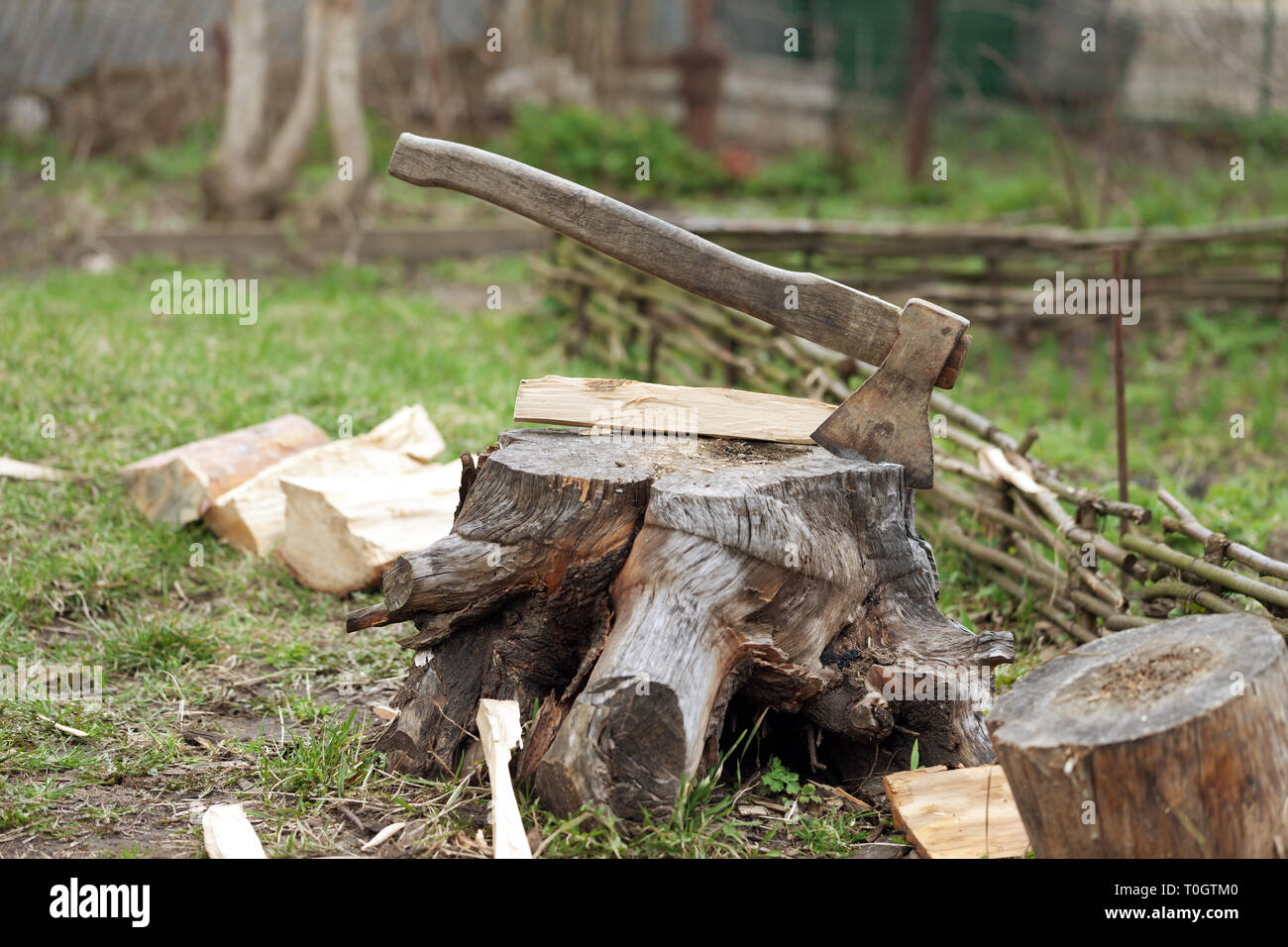 Old axe in tree stump on cottage glade at summer day Stock Photo - Alamy