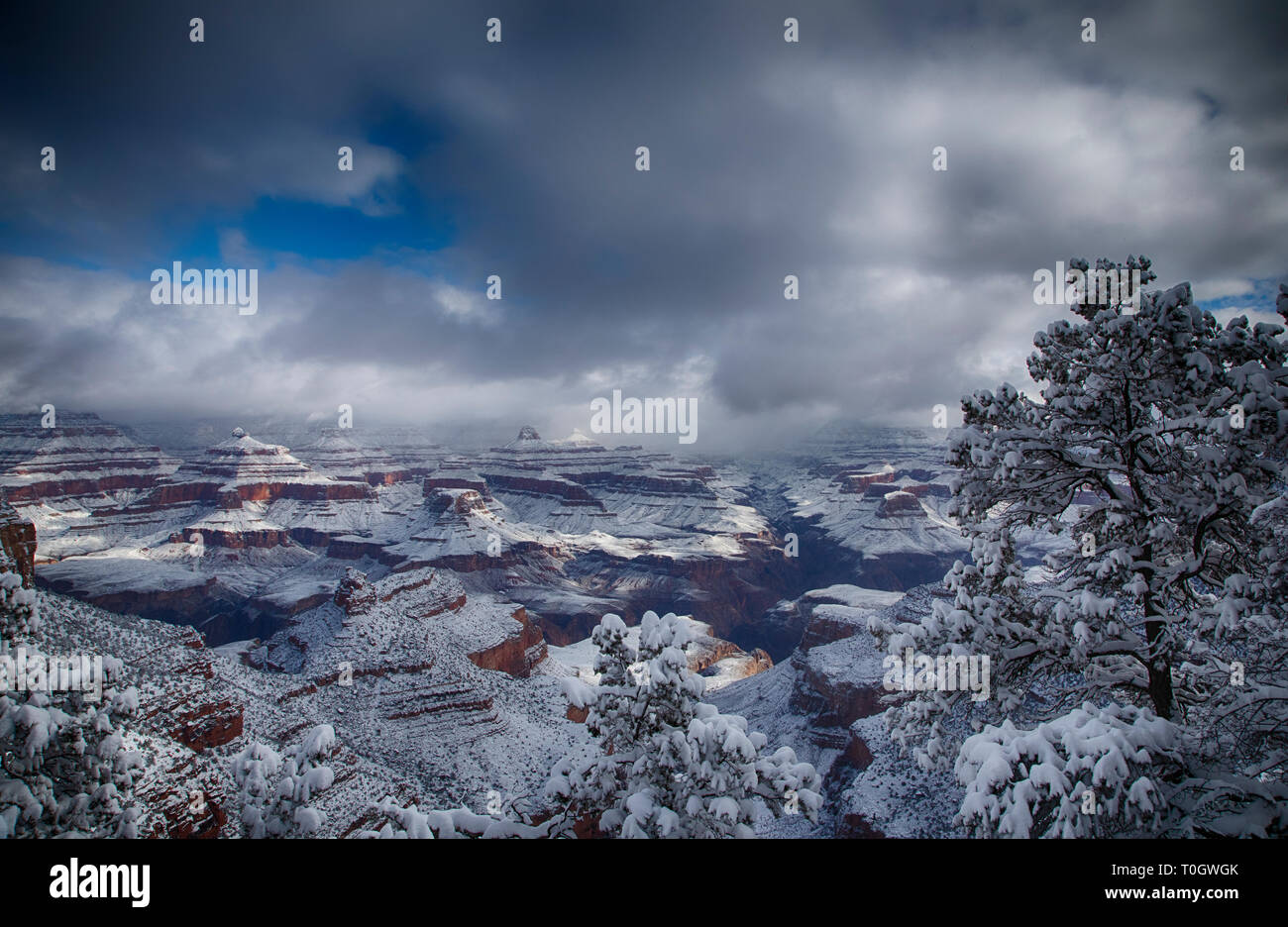 Grand canyon north rim snow hi-res stock photography and images - Alamy