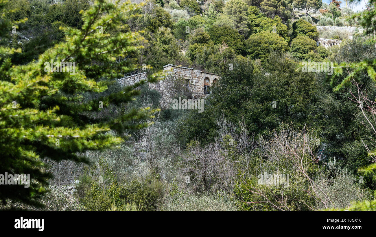this is a capture for a landscape in Lebanon with a beautiful green ...