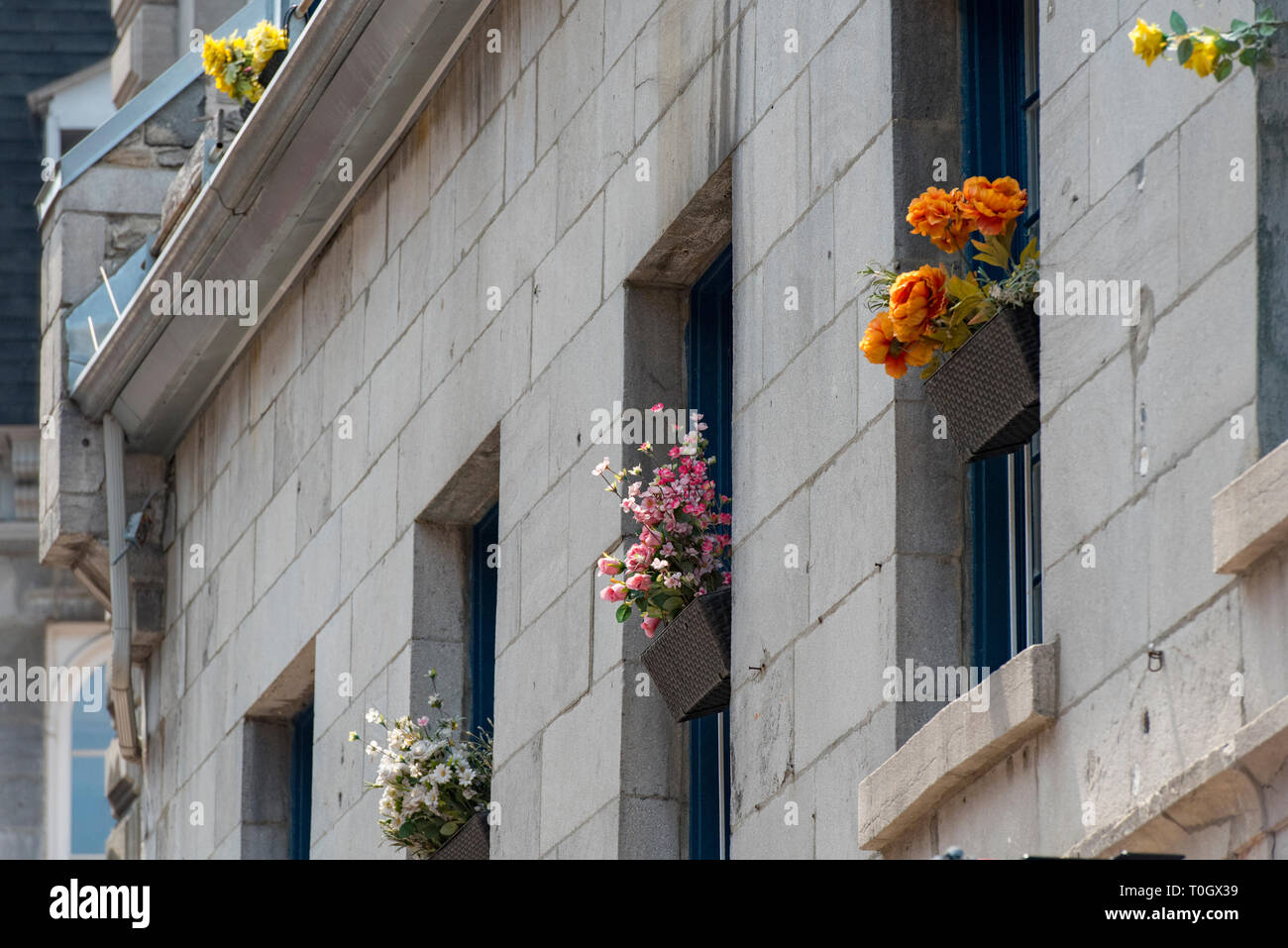 Oblique Windows High Resolution Stock Photography and Images - Alamy