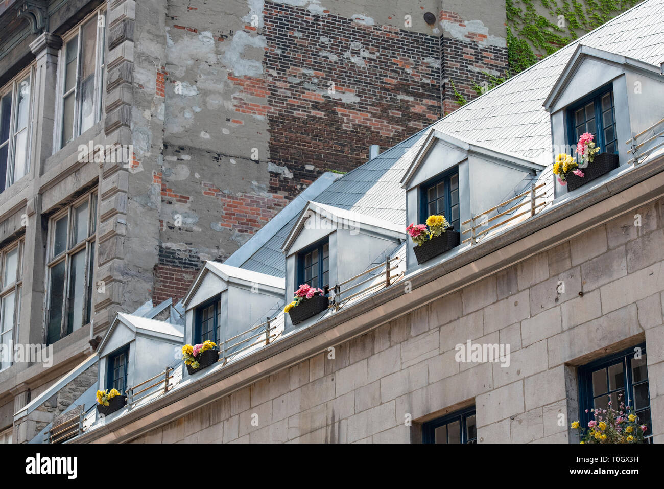 Oblique Windows High Resolution Stock Photography and Images - Alamy