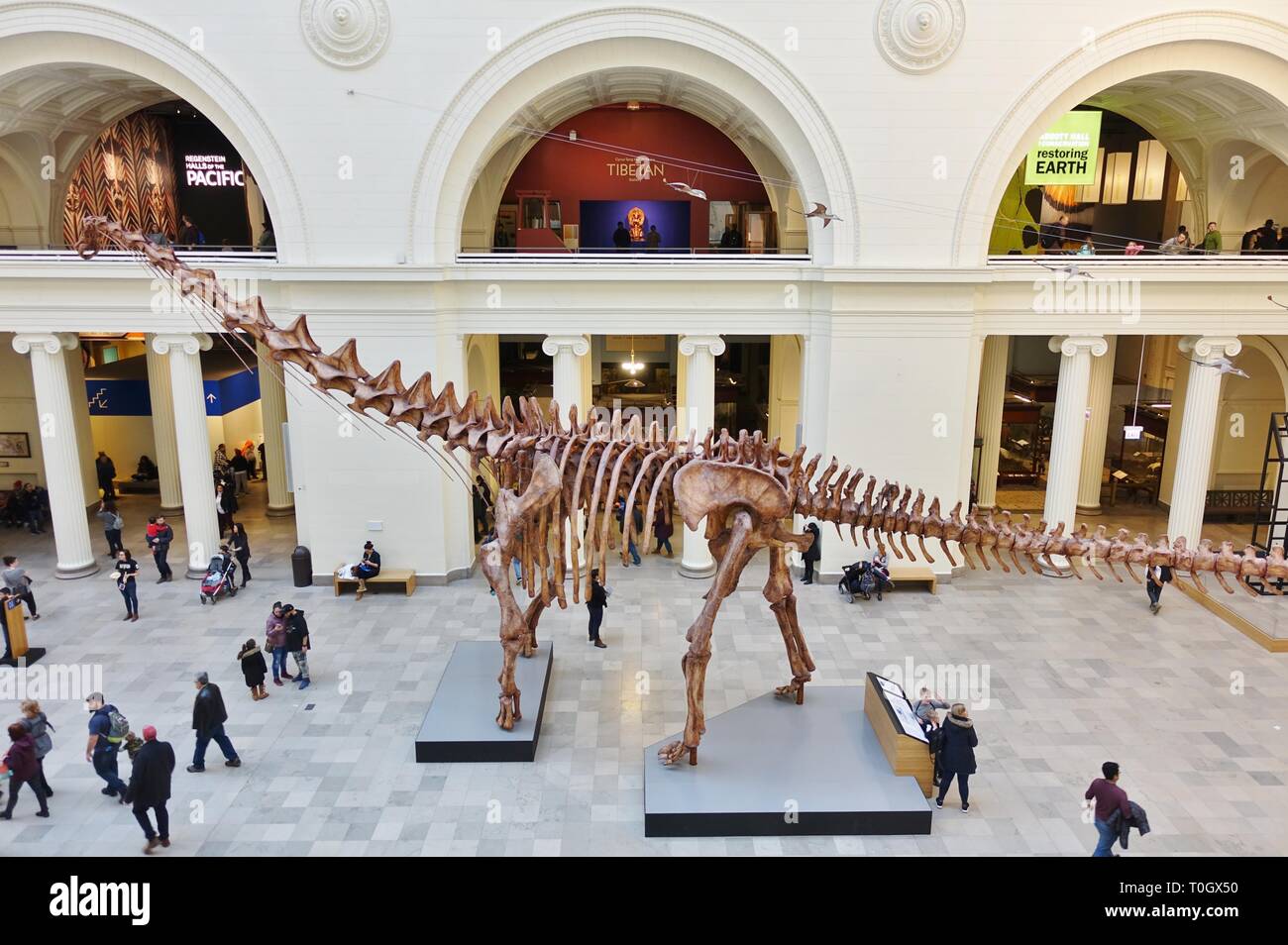 CHICAGO, IL -7 FEB 2019- View of the Field Museum of Natural History ...